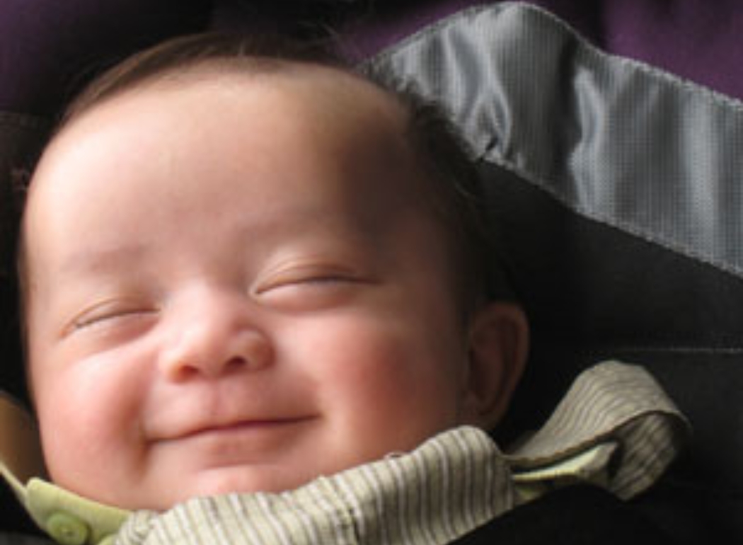 Faces Of The Cradle - Cradle